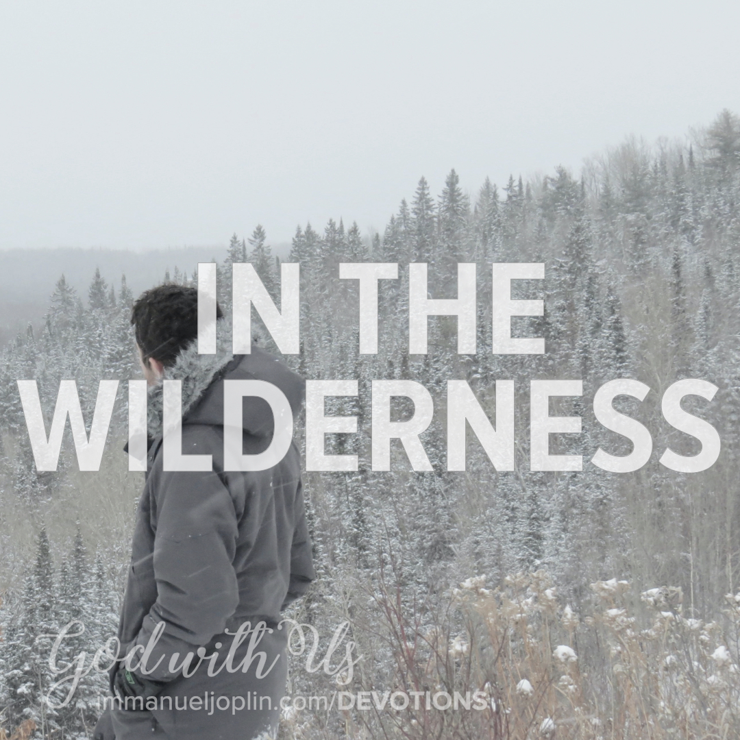 In The Wilderness | December 18 Advent Devotion – Immanuel Lutheran ...