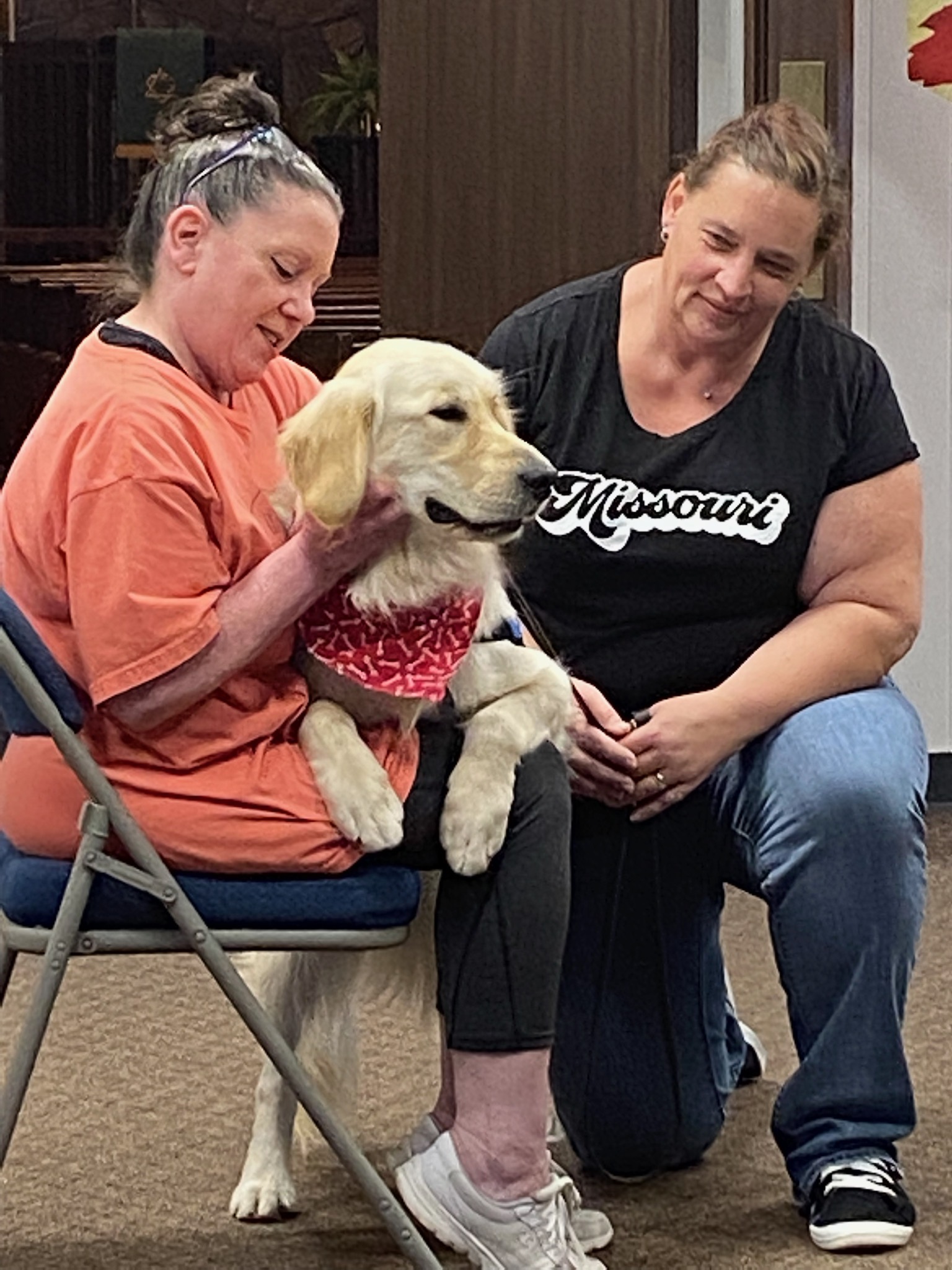 Introducing Daniel Comfort Dog – Immanuel Lutheran Church LCMS