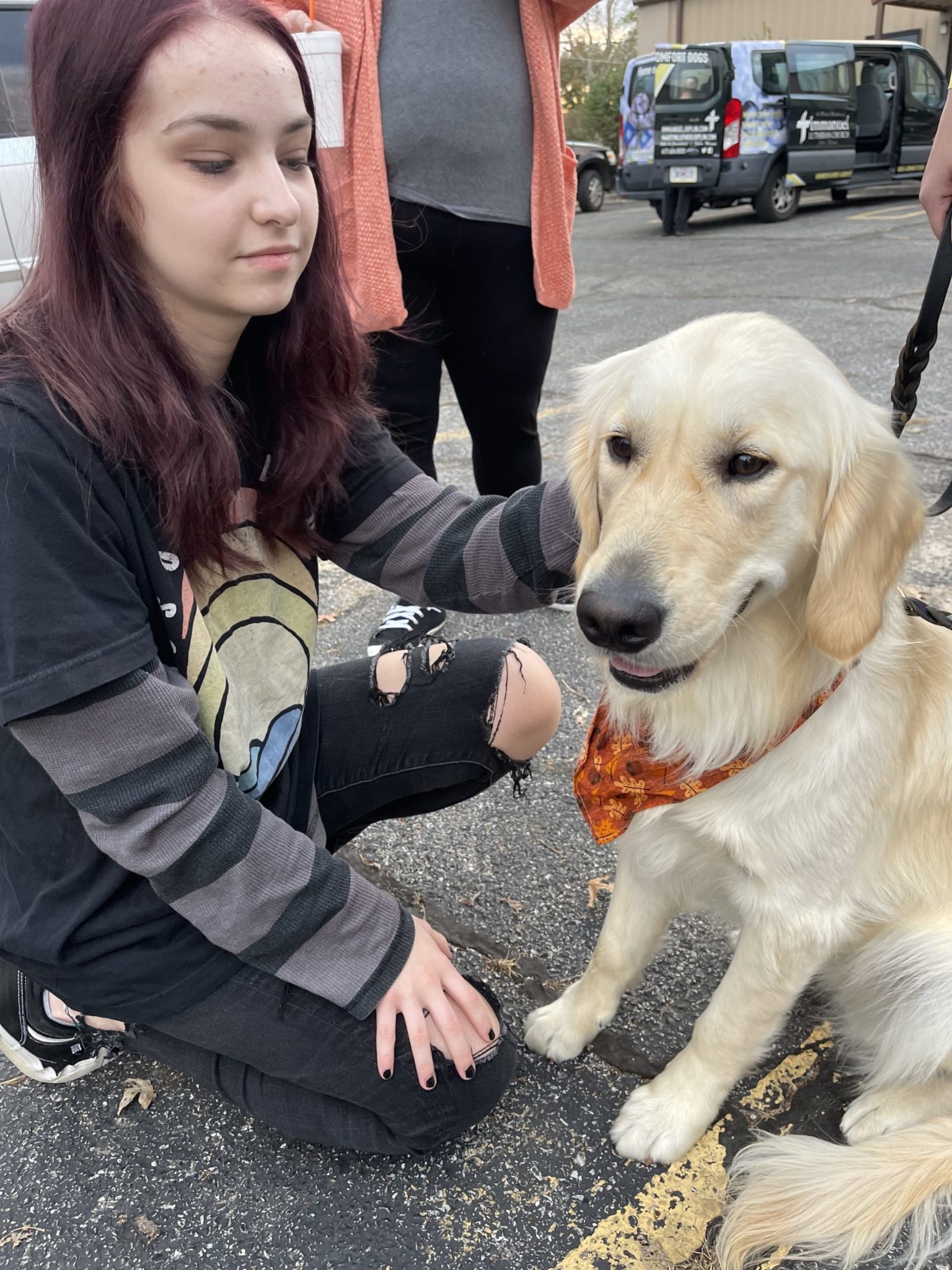 Introducing Daniel Comfort Dog – Immanuel Lutheran Church LCMS