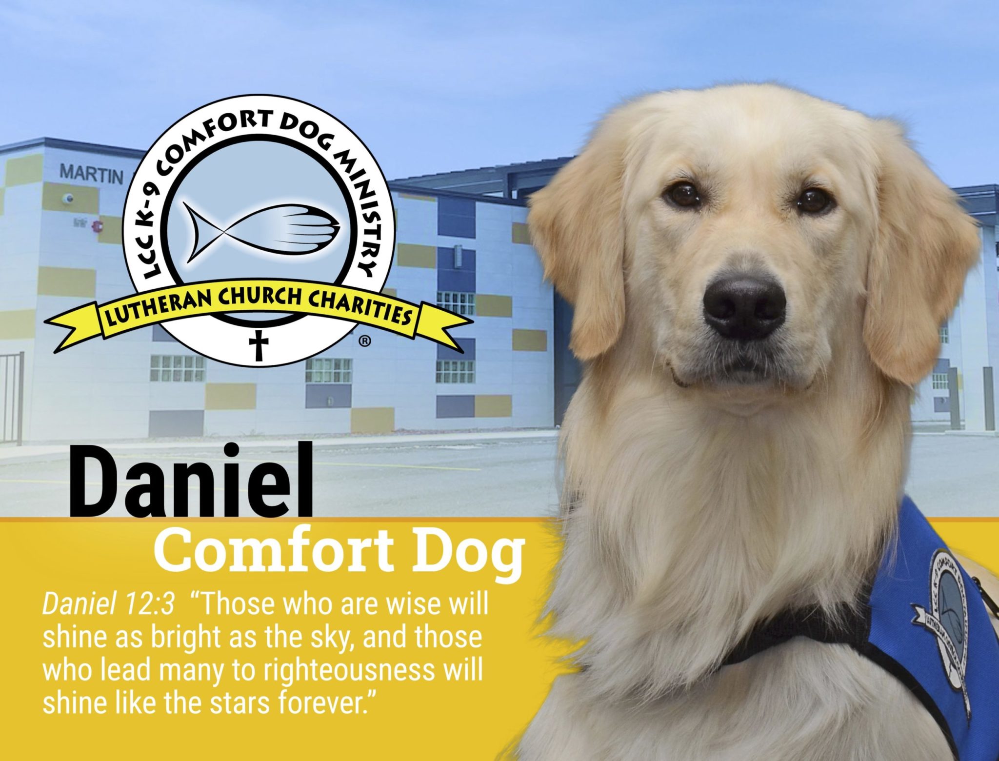 Introducing Daniel Comfort Dog | Immanuel Lutheran Church